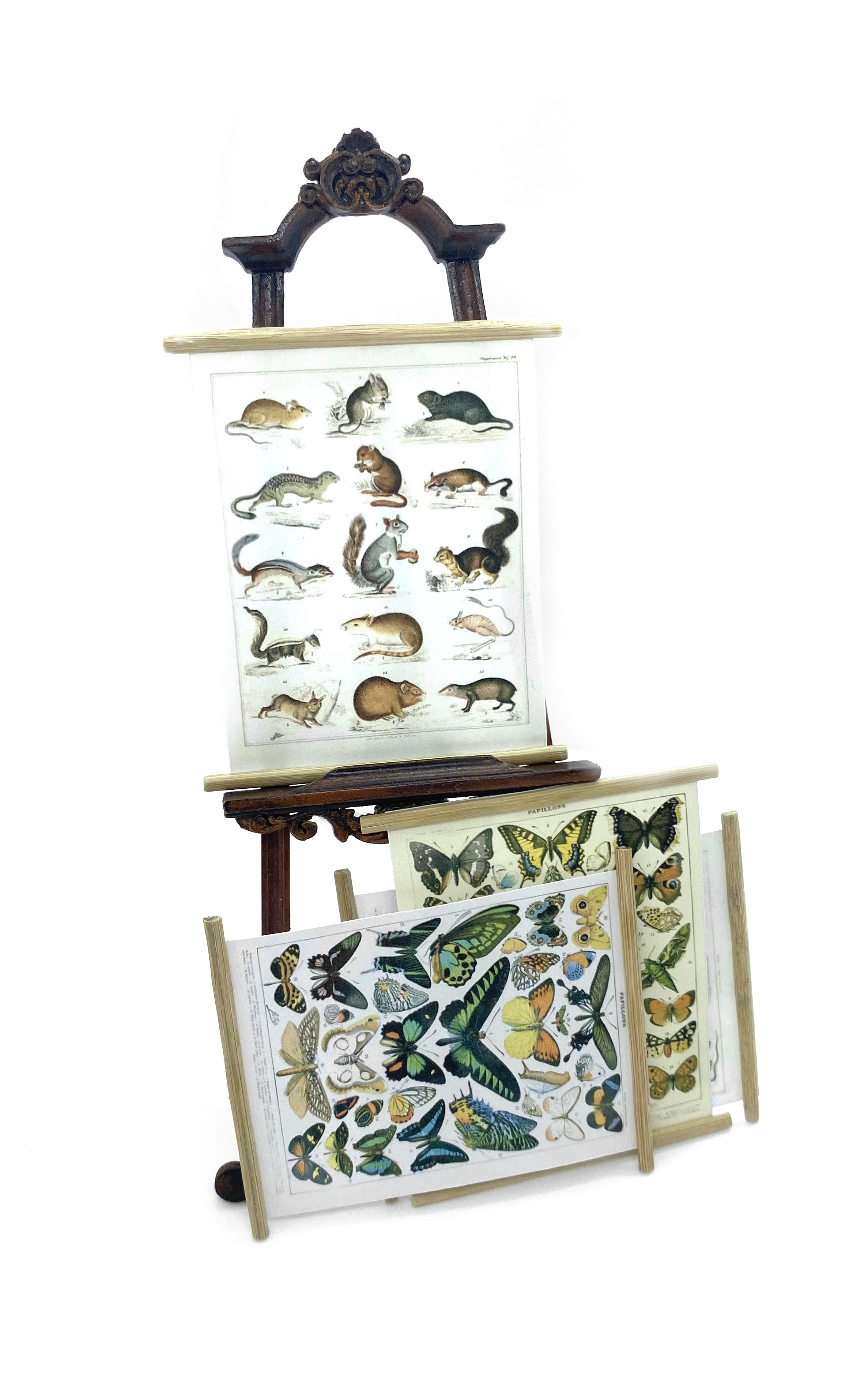 Rodent Identification Charts – Quartermaine Hall